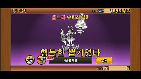 [냥코] 크리스마스걸즈 뽑기 Youtube