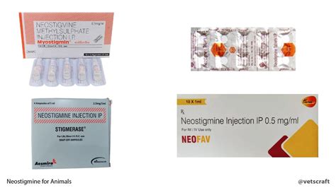 Neostigmine For Animals Dog Cat Horse Cattle Swine Sheep
