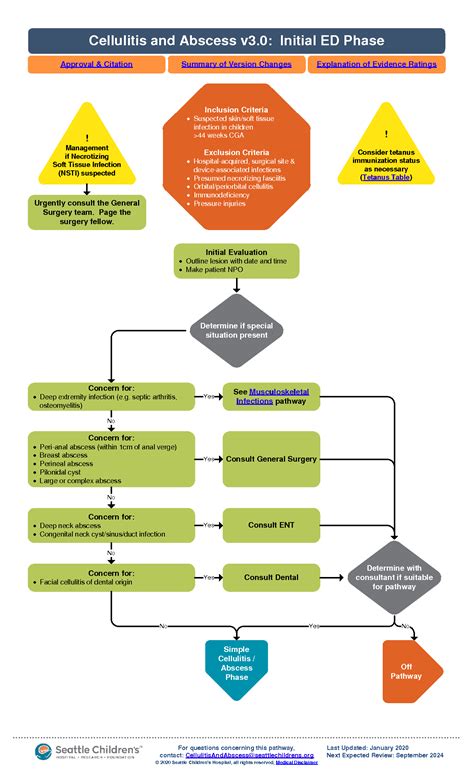Solution Cellulitis And Abscess Org Pathway Studypool