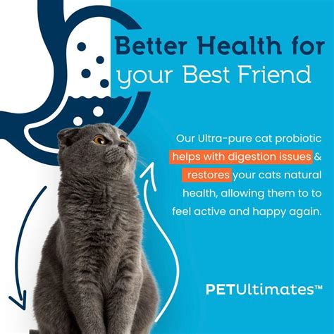 Probiotics Dosage In Cats At Piper Blanc Blog