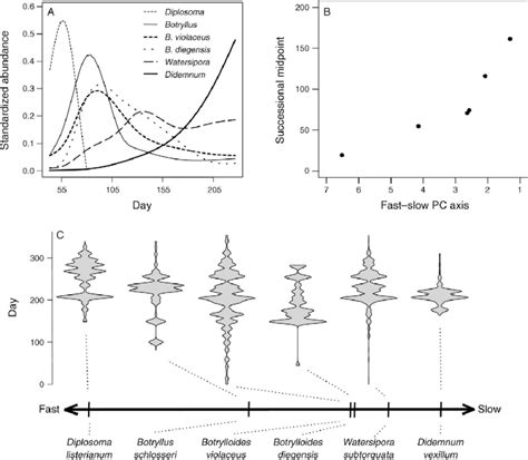 Succession And The Principal Axis Of Trait Variation A Succession On