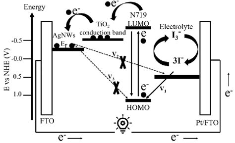 Schematic Illustration Of The Interfacial Charge Transfer Recombination