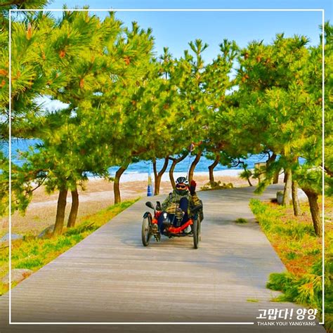 양양군 🚎 양양 여행에 걷기 좋은 해파랑길 44코스 몽돌 구르는 소리 들으며 걷기 좋은 해파랑길