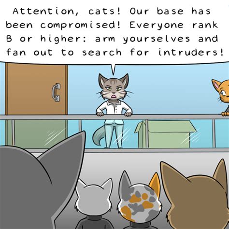 Box Pusher Katraccoon Comics