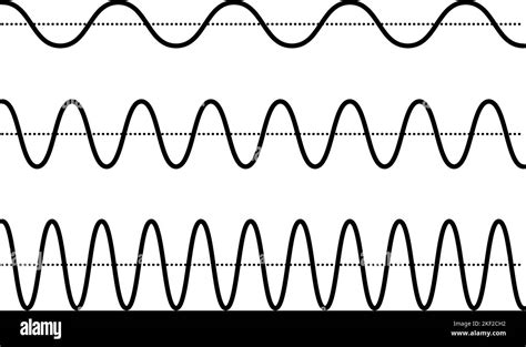 Sinusoid Signals Set Black Curve Sound Waves Collection Voice Or