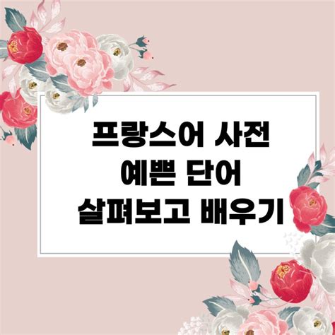 프랑스어사전 추천 예쁜프랑스어 프랑스어 예쁜 단어 프랑스어 배우기 독학 네이버 블로그