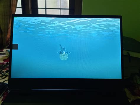 is this a graphics card issue r computerhelp