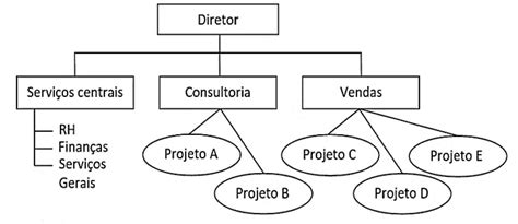 Questões De Administração Tipos De Estrutura Organizacional