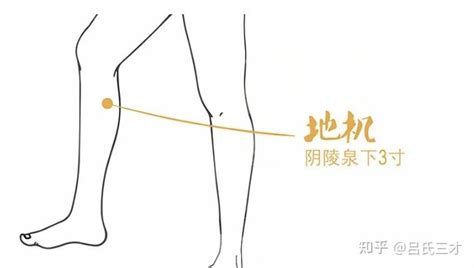 内脏有炎症这里一按就痛赶紧对照 知乎