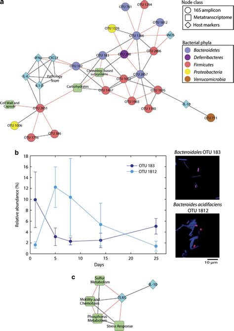 Correlation Networks Of 16s Rrna Gene Amplicon Defined Otus Functional