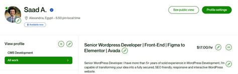 Saad Alaa Eldin On Linkedin Freelancer Upwork Wordpress