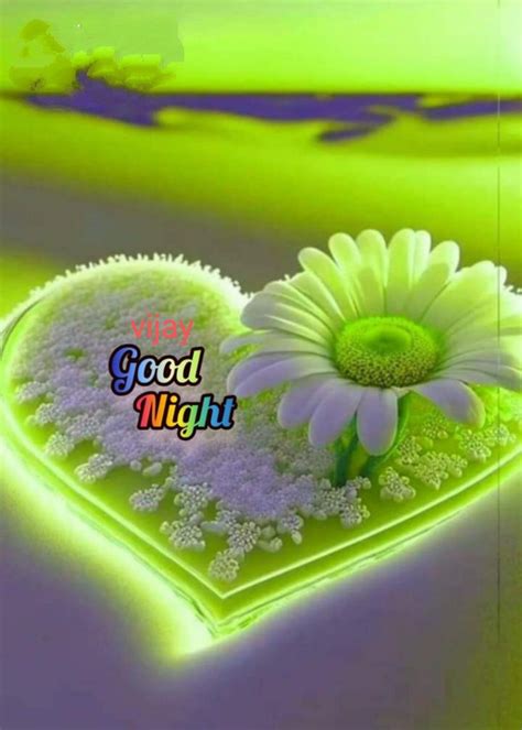 Good Night Ji 🌹🌹