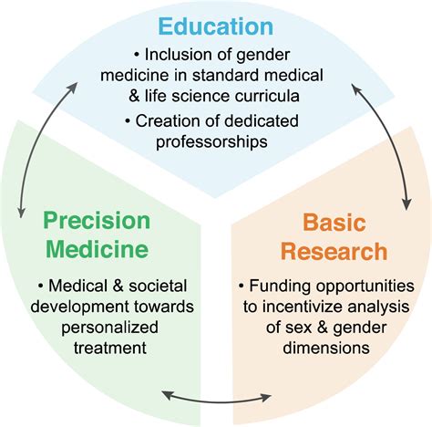 Mapping Of European Activities On The Integration Of Sex And Gender