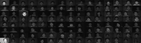 Face Image Samples Of The Nir Dataset Download Scientific Diagram