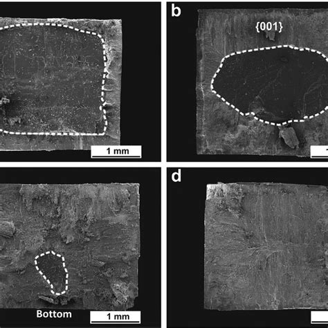 Sem Micrographs Of Cross Sections Surfaces Showing The Anhydrite Download Scientific Diagram