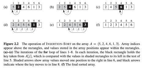 clrs designing algorithms vines log