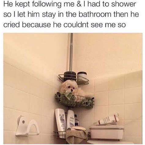 He Kept Following Me And I Had To Shower So I Let Him Stay In The