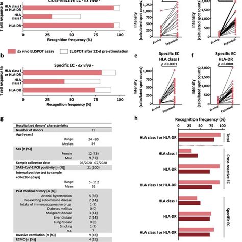 Memory T Cell Subsets Abbreviations Tcm Central Memory T Cells Download Scientific