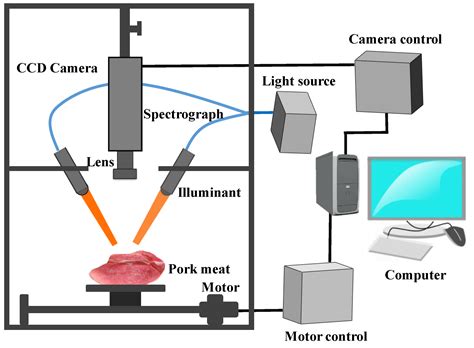 Applied Sciences Free Full Text A Nondestructive Real Time Detection Method Of Total Viable