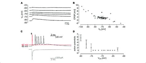 Evoked Postsynaptic Potentials Of The Pir Md Synapses A Example Download Scientific