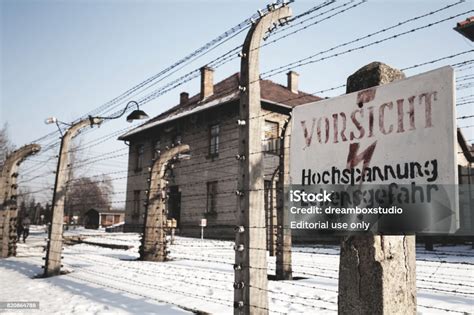 박물관 아우슈비츠비르 경고 기호 높은 전압 강제 수용소 주변 가시 철사입니다 Holocaust에 대한 스톡 사진 및 기타 이미지