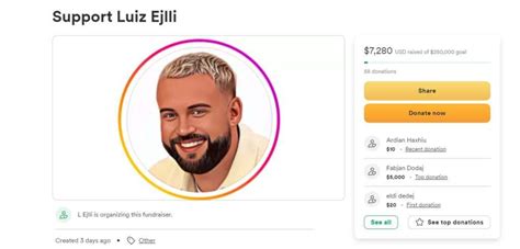 Kaq Para U Mblodhën Deri Tani Për Luizin Në Fondacionin E Hapur Online