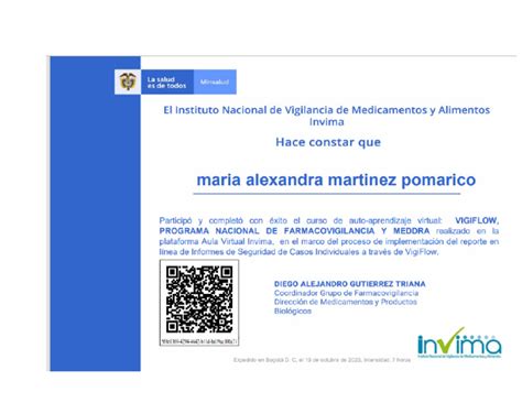 Curso Vilow Pdf