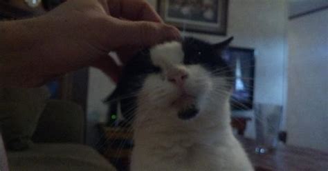 Dat Face Imgur