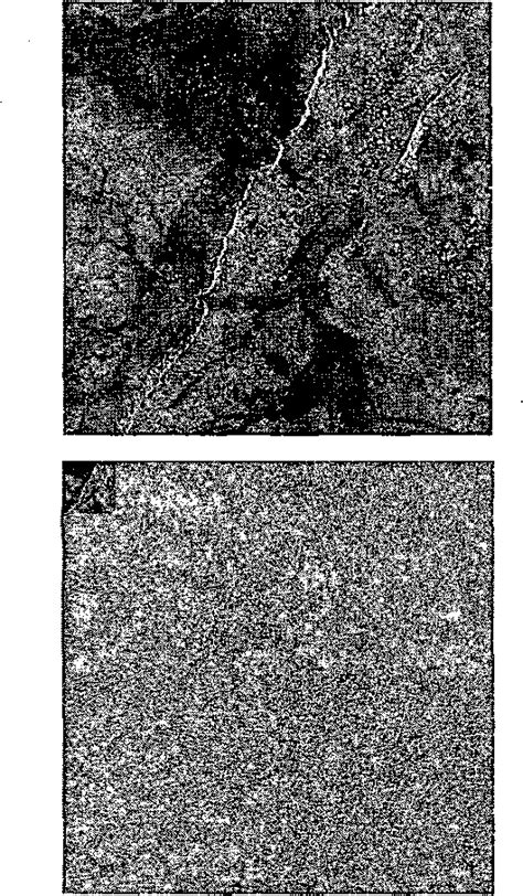 Figure 1 From Multiplicative Multiresolution Decomposition For 2d Signals Application To