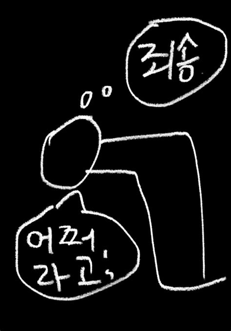 죄송합니다 짤 지식in