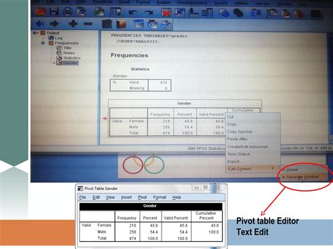 Spss An Introduction PPT Technology Computing