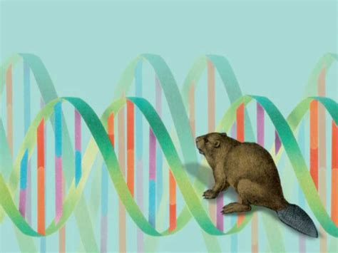 The Best Books About Genetics Book Scrolling