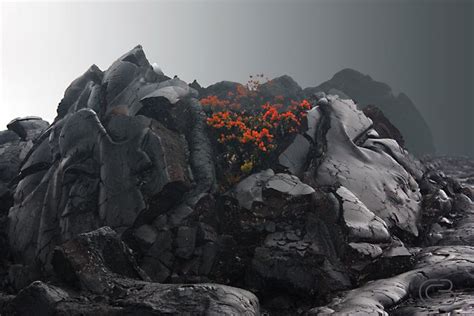 Flowers And Lava Hawaii Island Fire Goddess Mauna Loa Lava Flows