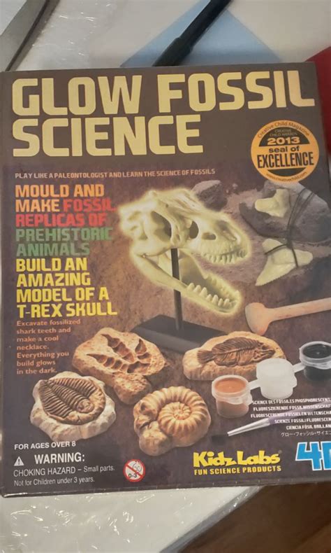 Fossil Dig Set T Rex Skull Hobbies And Toys Toys And Games On Carousell