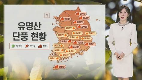 날씨 청명한 하늘 아래 단풍 절정해안가 너울·침수 주의 연합뉴스tv Yonhapnewstv Youtube