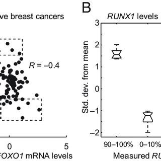 Low RUNX1 Expression Is Associated With High FOXO1 Expression In