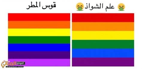 الفرق بين ألوان قوس قزح وعلم المثليين الموقع المثالي