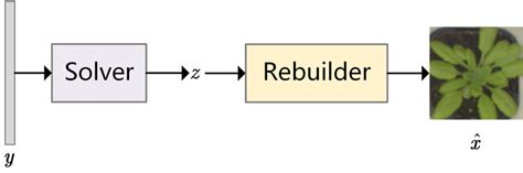The Framework Of The Reconstruction Model With Y Obtained From The