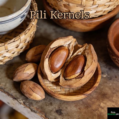 Pili Nuts Nutrition Uses And Profile Guide Pureminerals