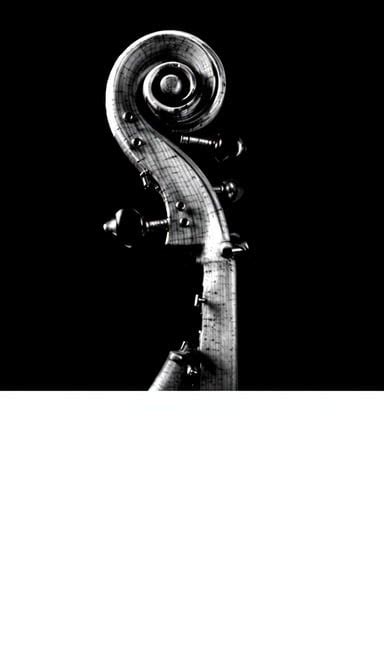 Free Elegant Violin Scroll Photo Violin Scroll Music Download At