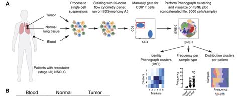 Til Cell Based Solution
