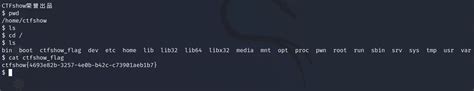 Ctfshow Pwn Test Your Nc Ctf Pwn Nc Csdn