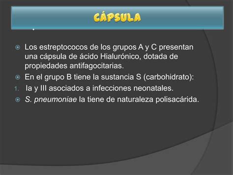 Estreptococos Microbiología Pptx