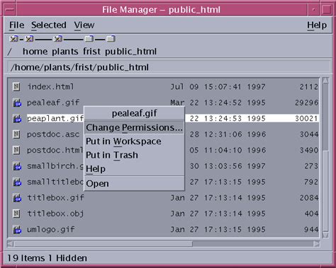 Cde The Dtfile File Manager