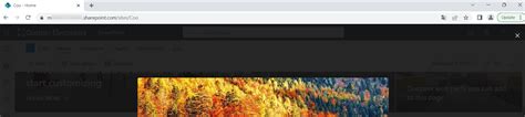 Bug Report Sharepoint Online Image Previewer Microsoft Community
