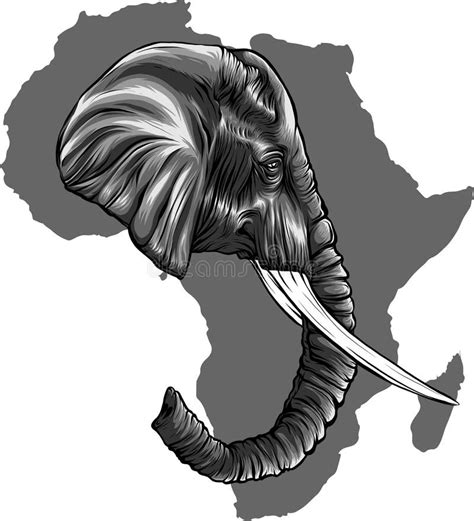 Monochromatic Illustration Of An African Elephant Head Stock Vector