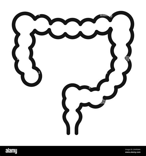 Large Intestine Icon Vector Symbol Or Sign Set Collection In Black And