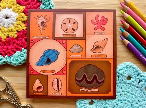 Shell Specimens Art Print Printed On Matte 350 Gsm Paper Etsy