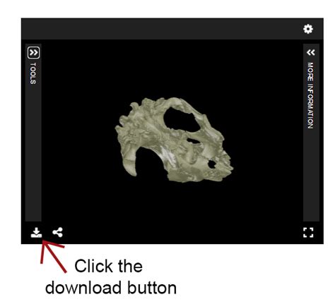 View 3d Fossils Vamp