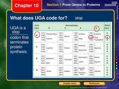 10 1 notes continued… objectives ppt download